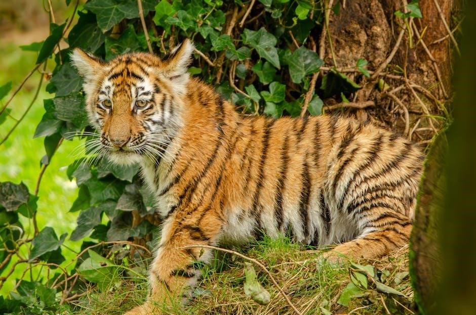 SCAG Tiger Cat 2 Manual - Download Now!